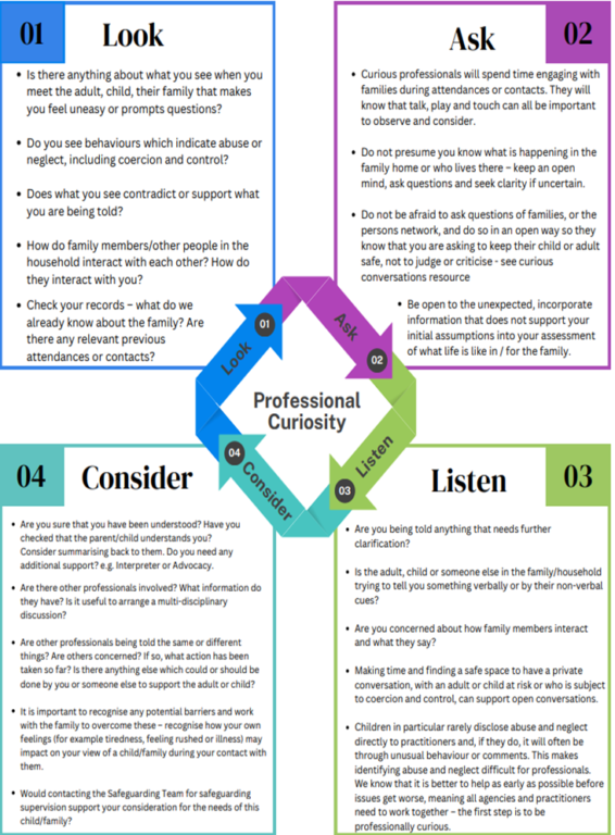 Multi-Agency Practice Guidance - Professional Curiosity - Devon ...