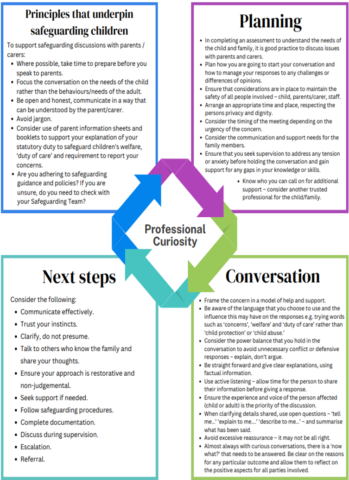 Multi-Agency Practice Guidance - Professional Curiosity - Devon ...