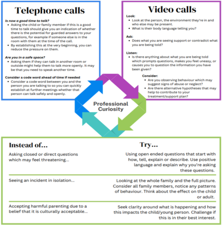 Multi-Agency Practice Guidance - Professional Curiosity - Devon ...