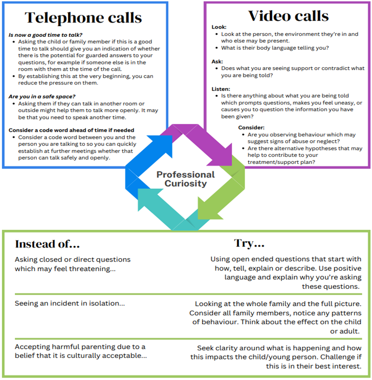 Multi-Agency Practice Guidance - Professional Curiosity - Devon ...